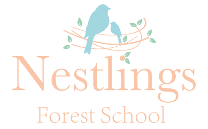 A Comprehensive Guide on How to Set Up a Forest School - Nestlings ...